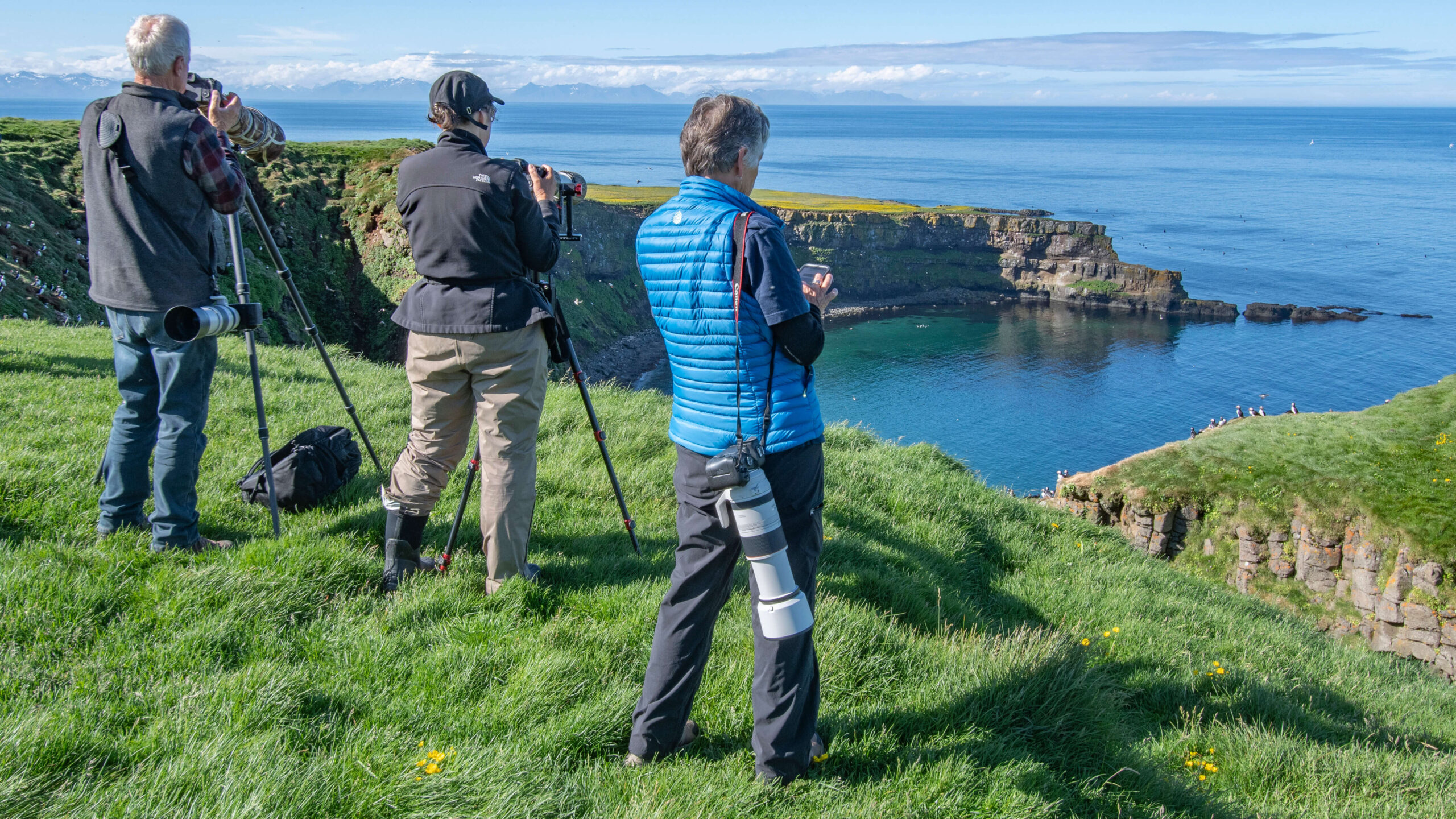 2026 Puffins On The Fly - Van Os Photo Safaris